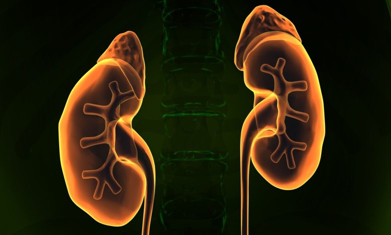 Duplicidade Ureteral Em Meninos Uropediatria Goiânia Uropediatra Goiânia Dr Marcelo